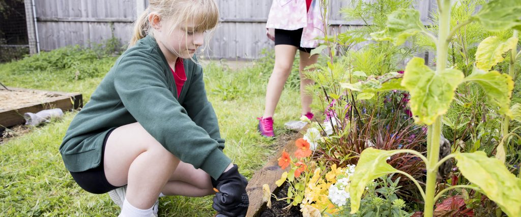 Cop Lane CE Primary School